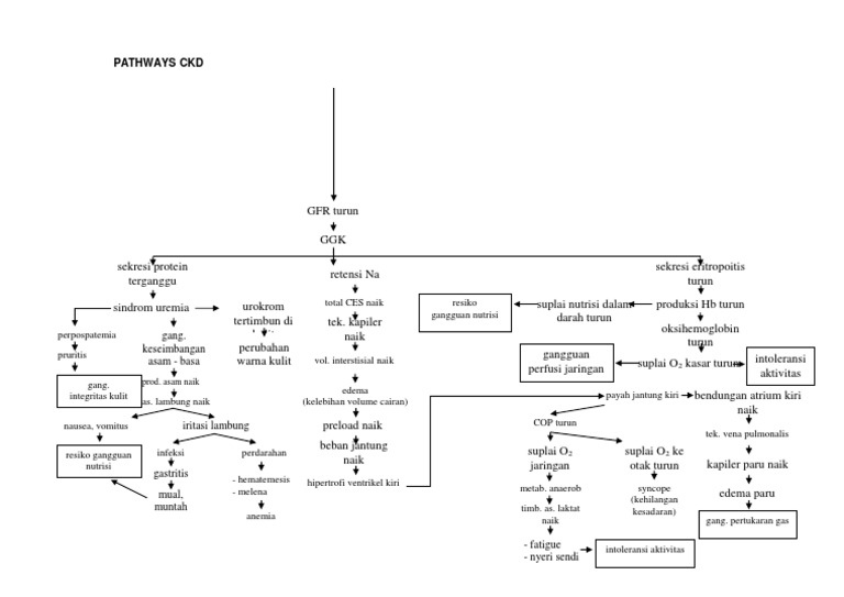 Pathways CKD: Gang. Keseimbangan Asam - Basa | PDF