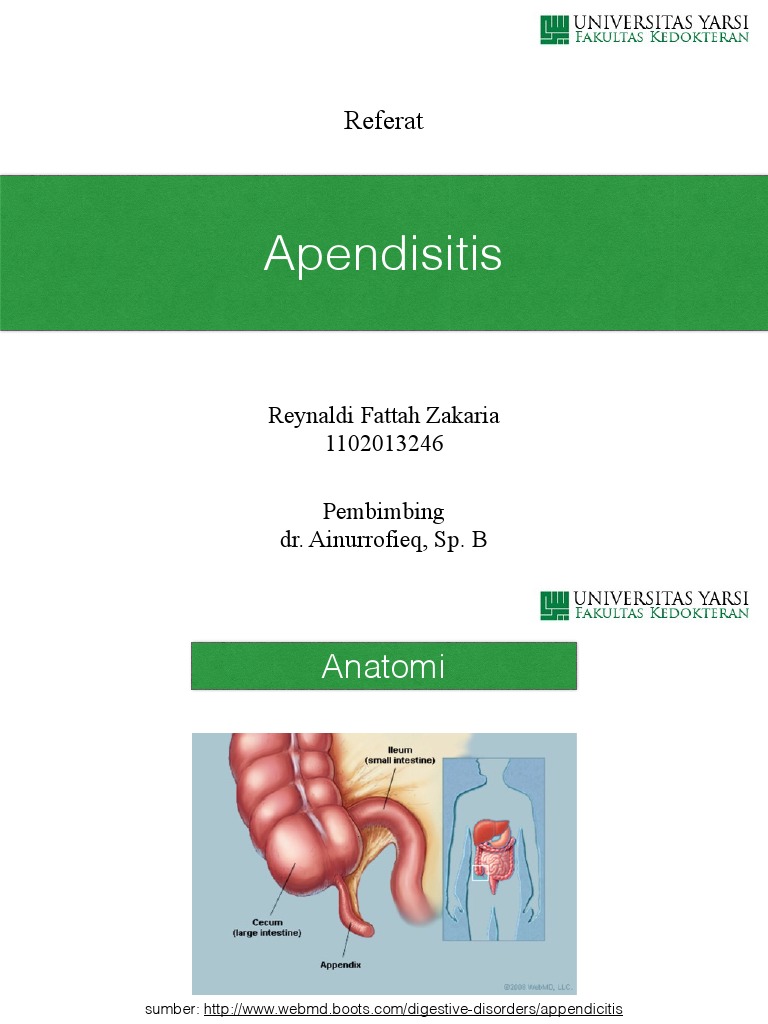 Referat Apendisitis | PDF