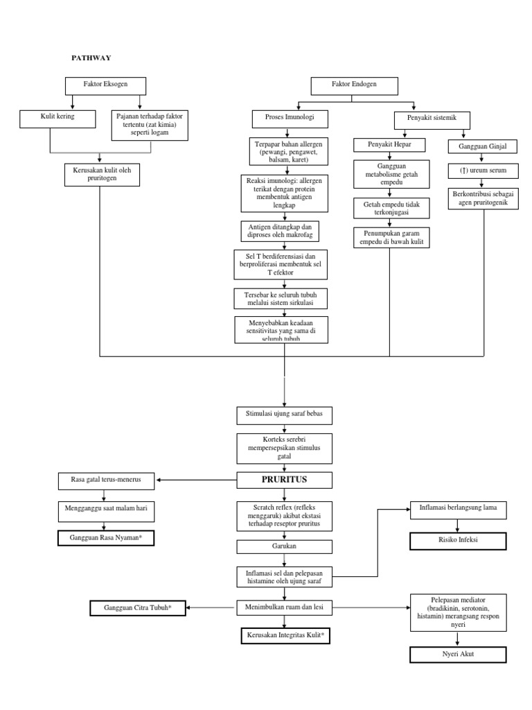 PATHWAY Pruritus | PDF