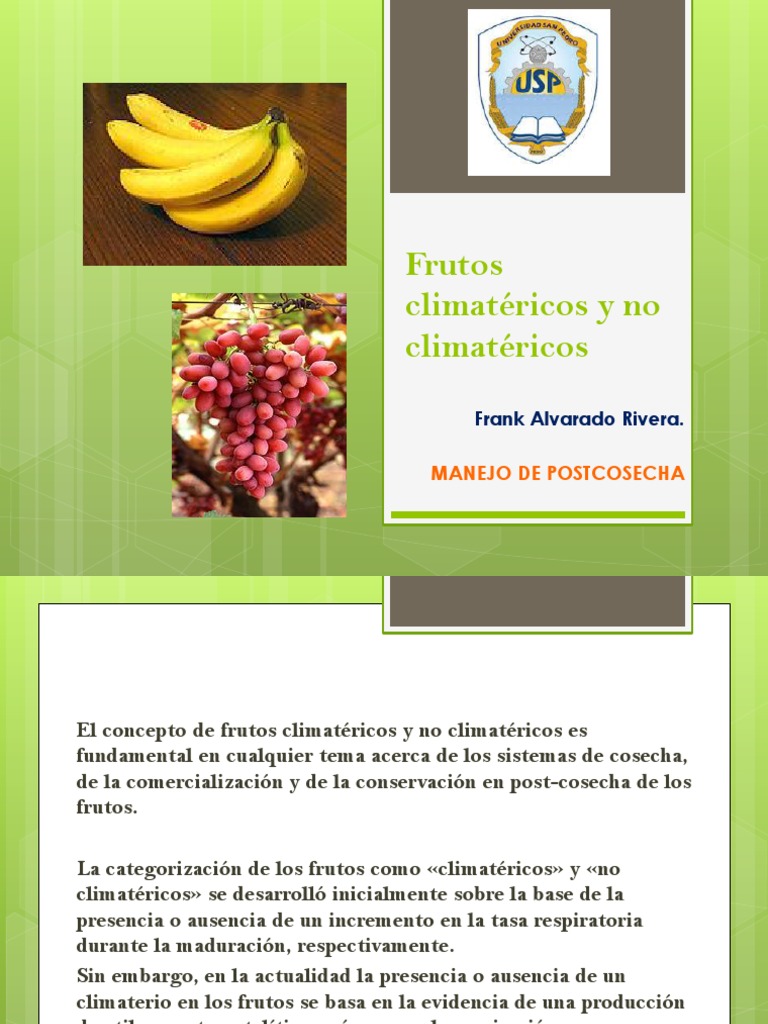 Frutos Climatericos y No Climatericos | PDF | Fruta | Plantas comestibles