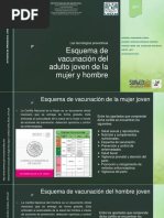 Nom 036 Ssa2 2012 | PDF | Vacunación | Vacunas