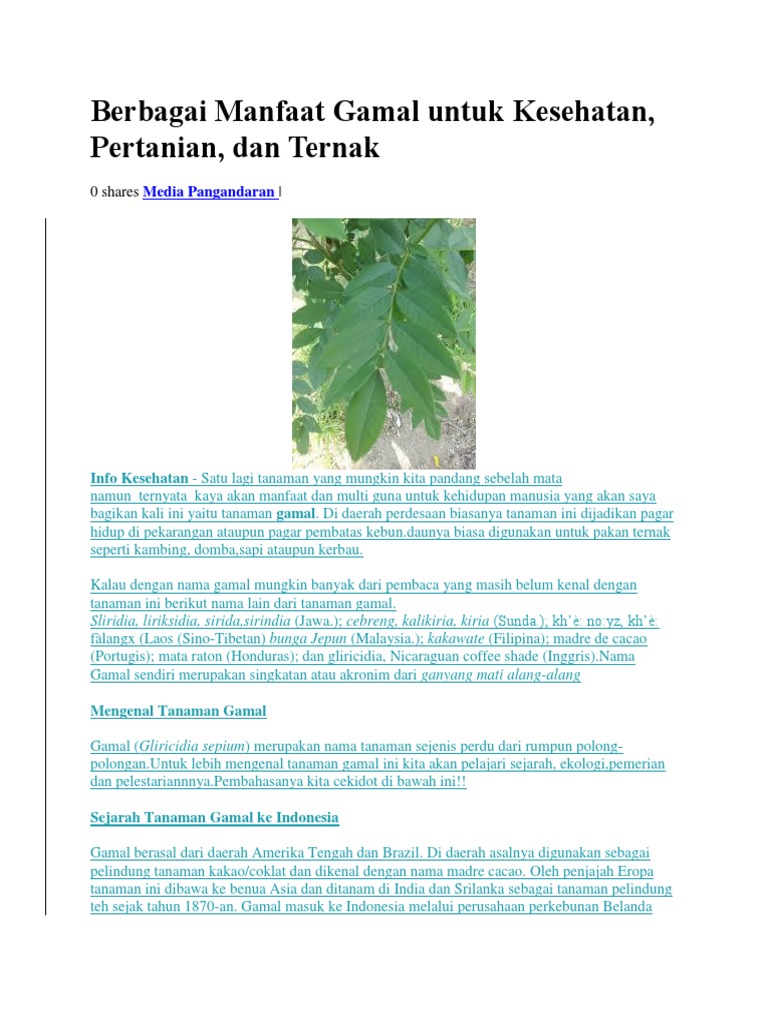 Berbagai Manfaat Gamal Untuk Kesehatan | PDF