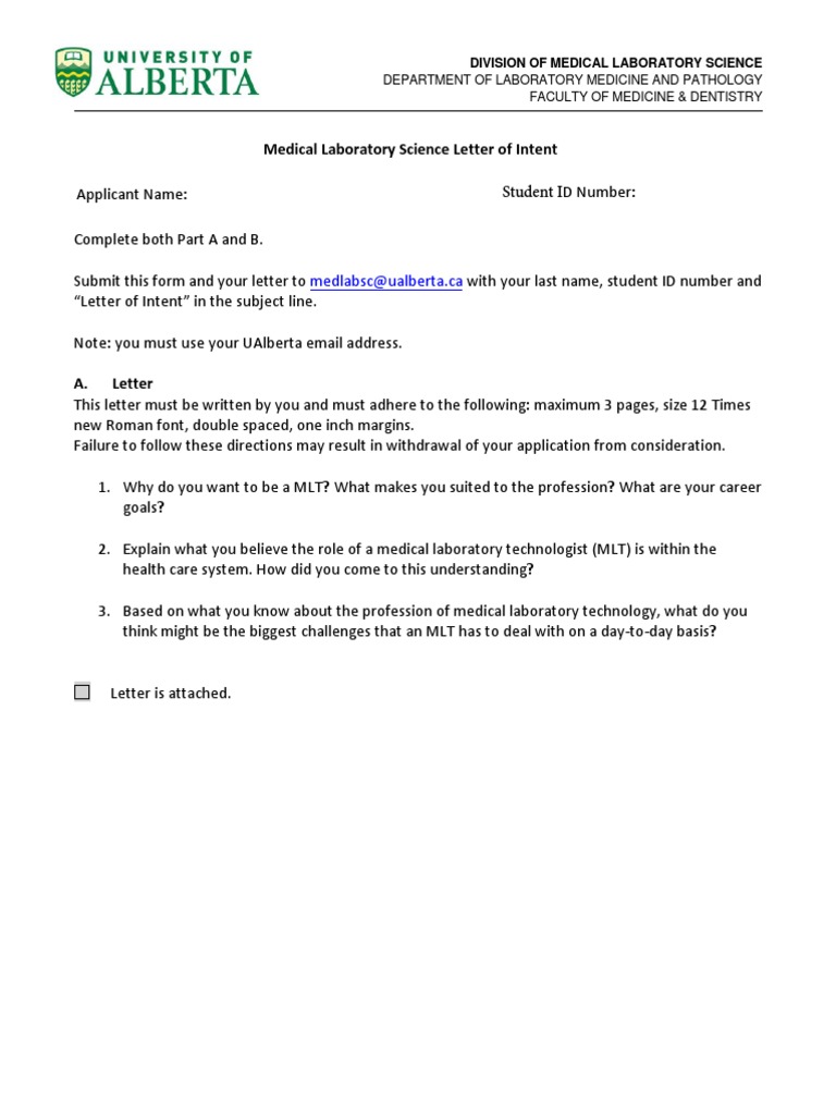 Letter Of Intention Format
