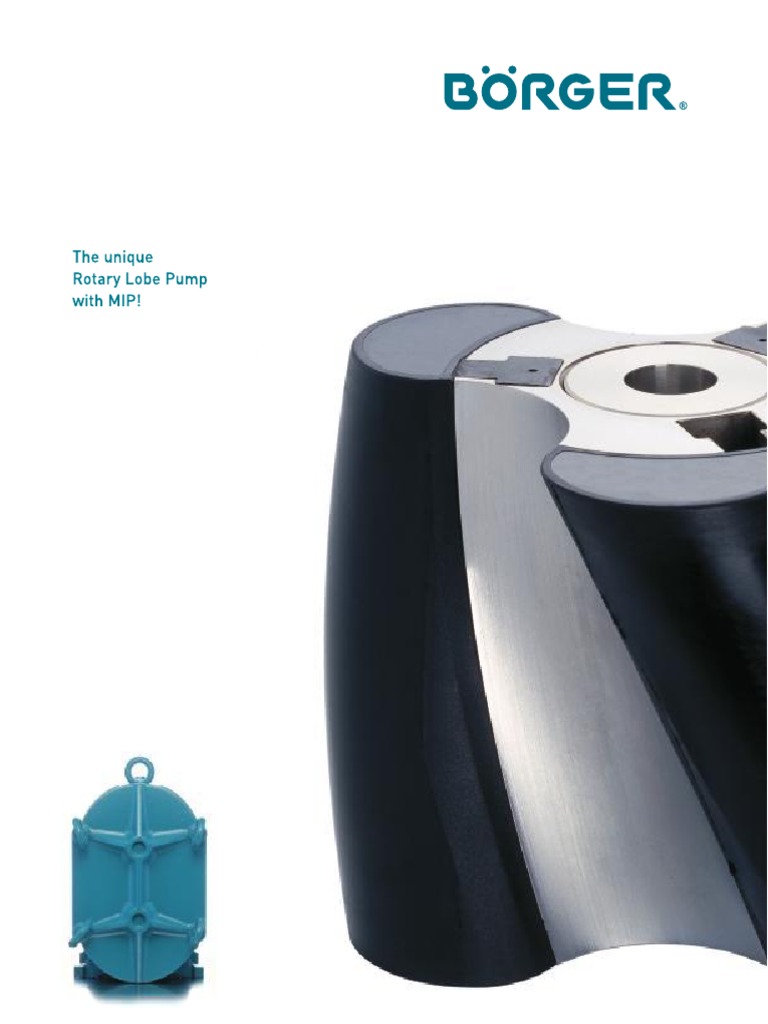 Borger FL PUMP SERIES PDF | PDF