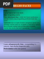 Anatomi Regio Kepala dan Leher | PDF