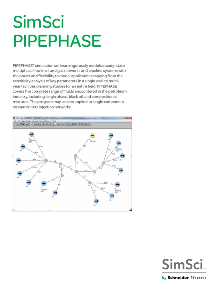 Datasheet SE-SimSci PIPEPHASE 11-15 PDF | PDF | Simulation | Microsoft Excel