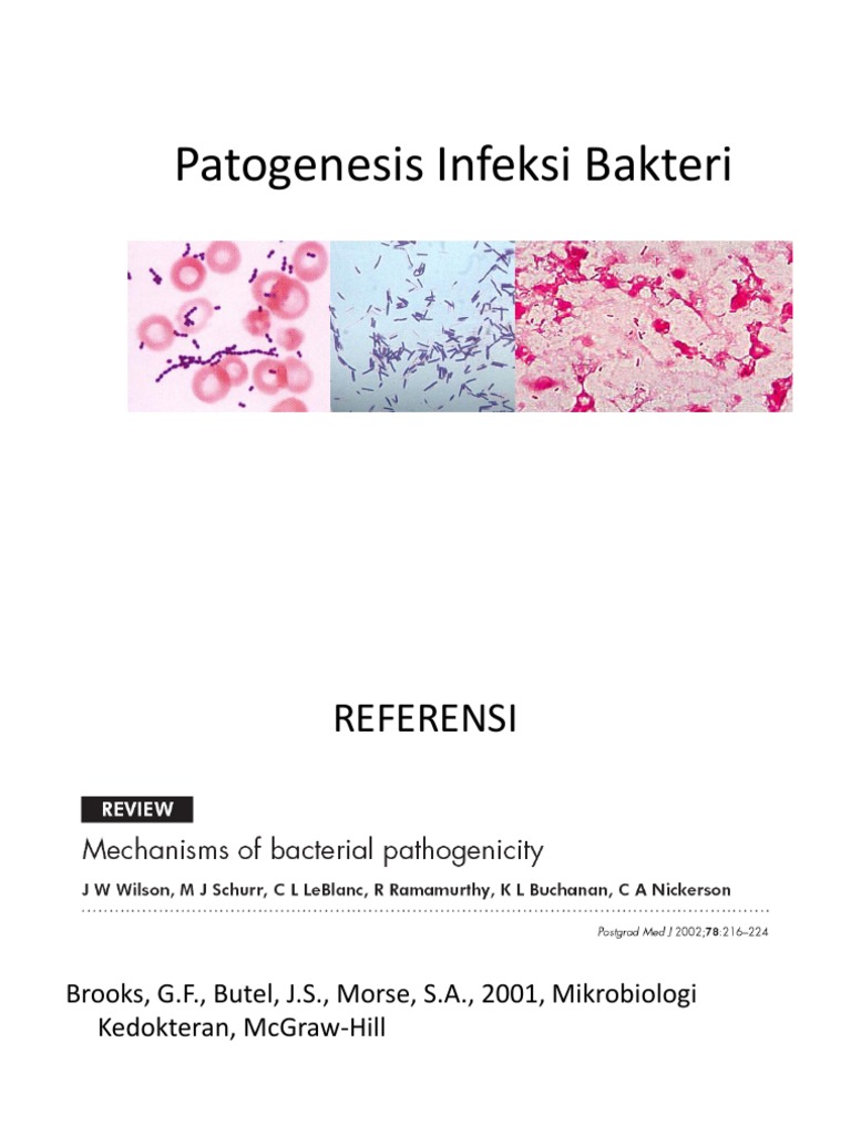 Patogenesis Infeksi Bakteri | PDF