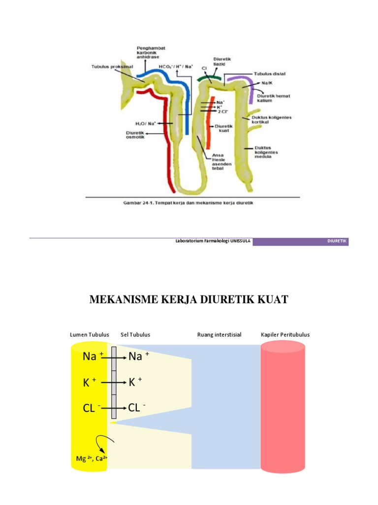 Materi DIURETIK | PDF