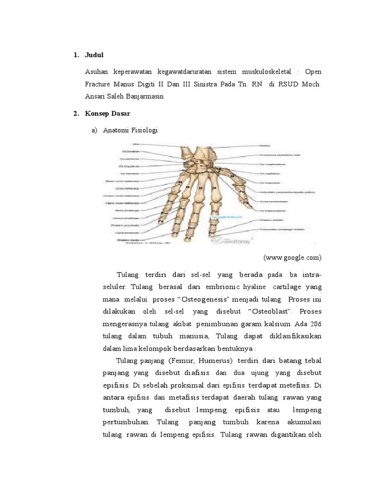 LP Fraktur Digiti Manus | PDF