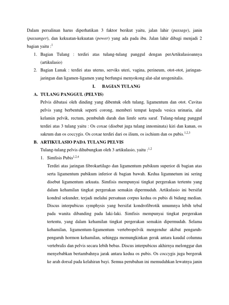 Anatomi Jalan Lahir - Prisilia Sampe | PDF