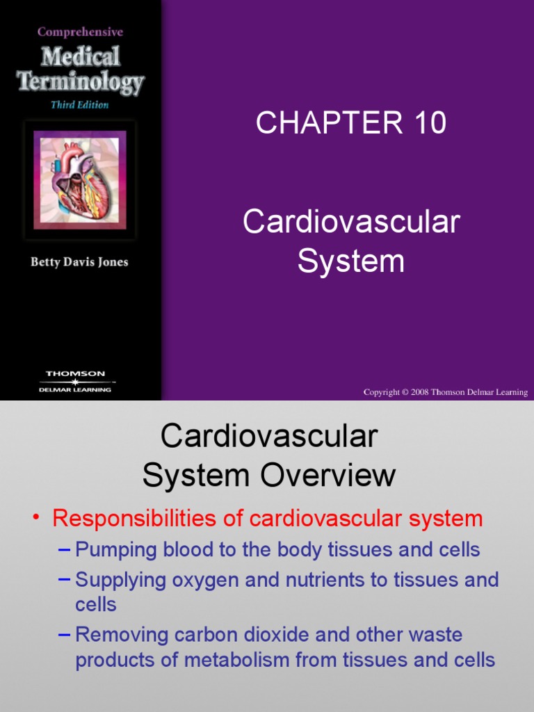 Cardiovascular Syste | PDF | Heart | Circulatory System