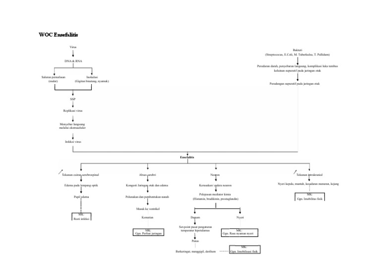 WOC Ensefalitis | PDF