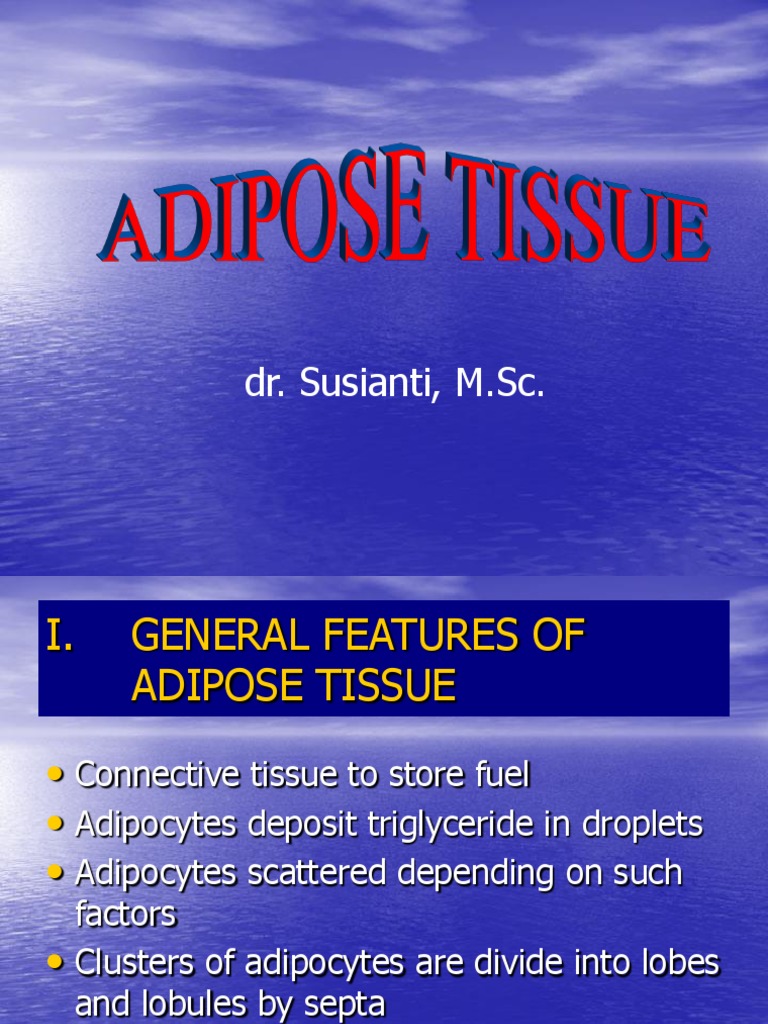 Overview of Adipose Tissue Types | PDF