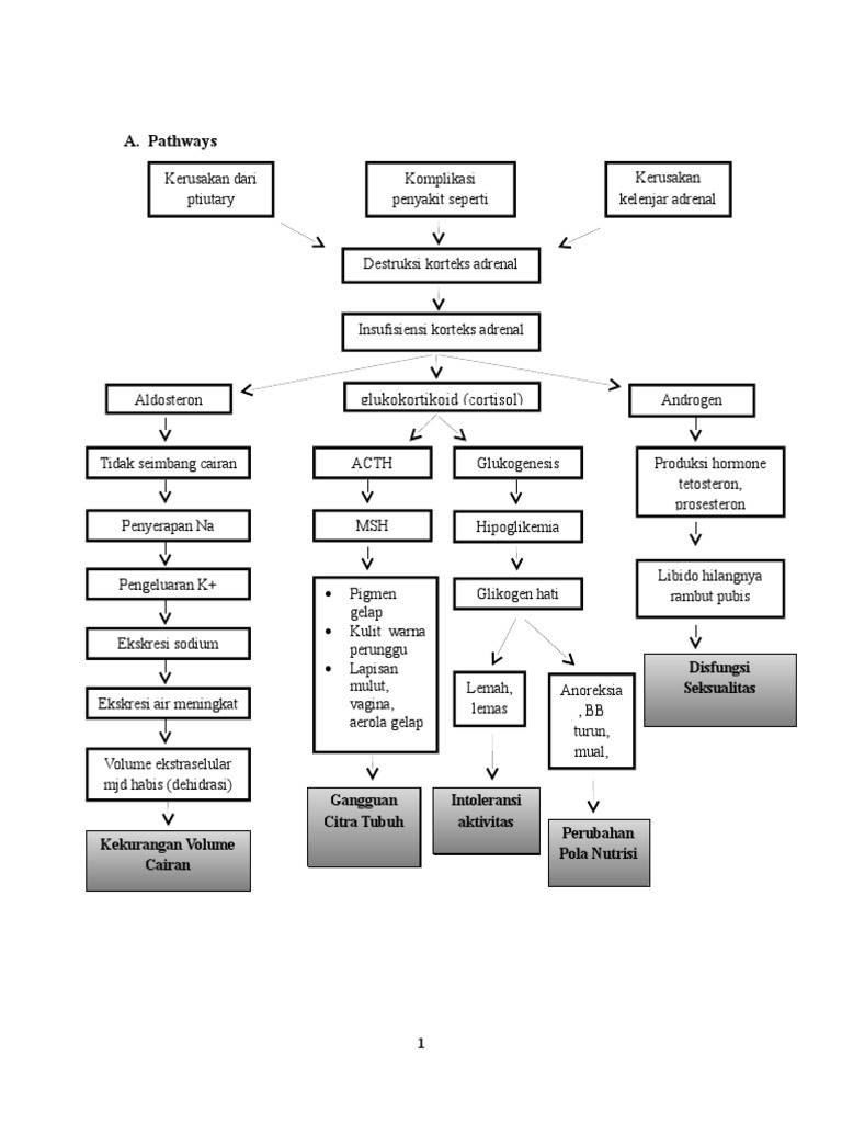 Pathways Addison | PDF