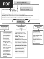 Modelo Biologicista en Psicología | PDF | Biología | Psicopatología