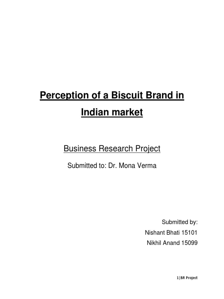 Business Research Project | Download Free PDF | Factor Analysis | Variance