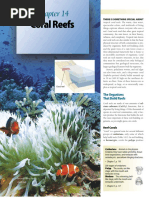Coral Identification Guide for Divers | PDF | Coral | Coral Reef