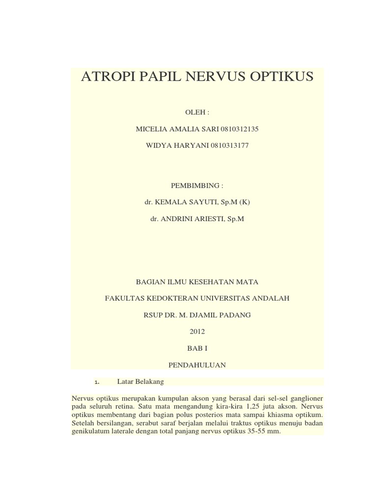 Atropi Papil Nervus Optikus | PDF