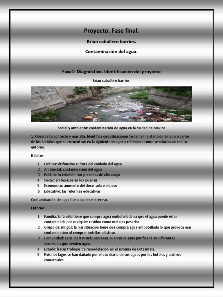 Proyecto. Fase Final | PDF | La contaminación del agua | Contaminación