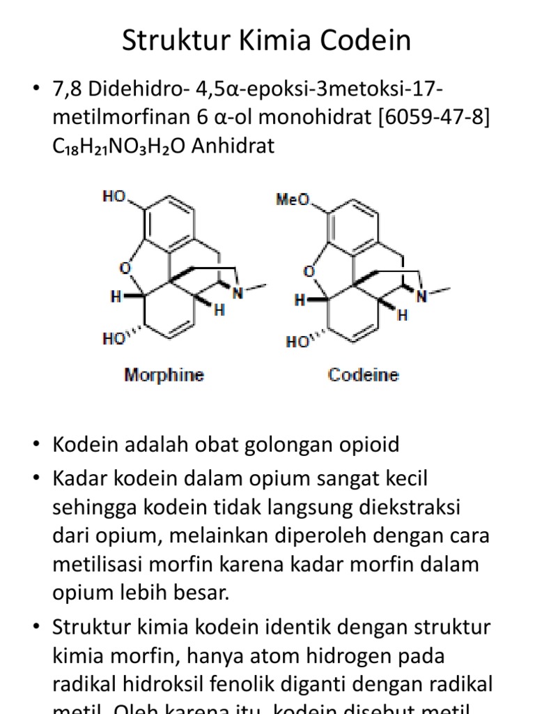 Struktur dan Fungsi Kodein dalam Obat | PDF