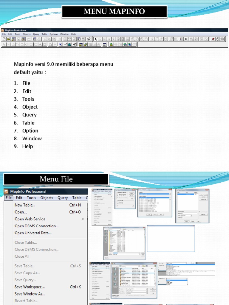 02 Slide Pengenalan Dasar Mapinfo | PDF | System Software | Application Software