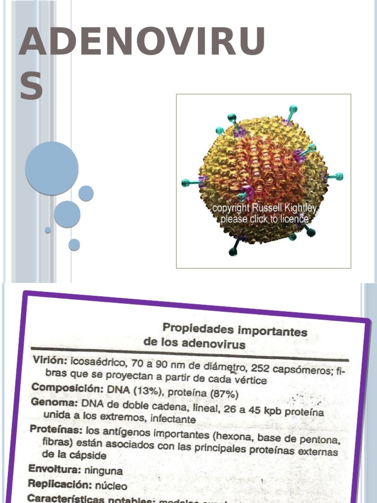 Adenovirus | Influenza | Adenoviridae