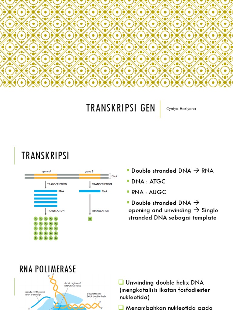 Transkripsi Gen | PDF