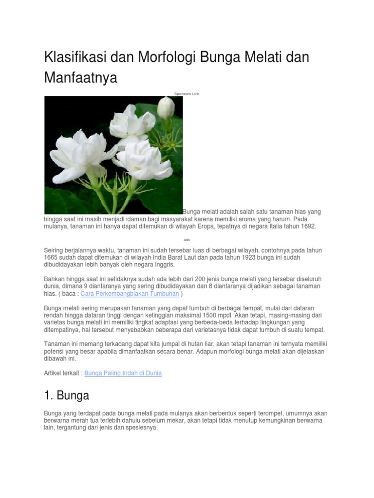 Klasifikasi dan Morfologi Bunga Melati | PDF | Griya & Taman ...