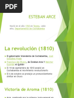 Biografía de Esteban Arze: Vida y Logros | PDF | Rebeliones | Agitación