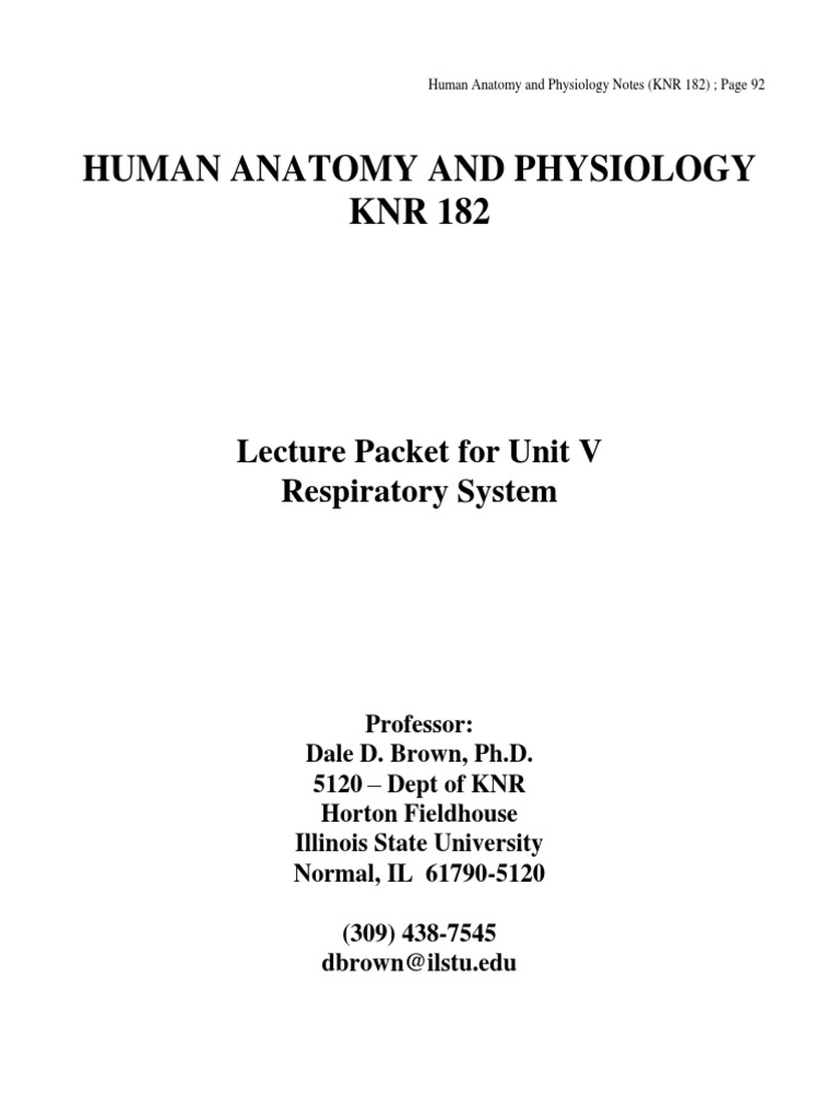 Respiratory System Study Guide KNR 182 | PDF | Respiratory System | Lung