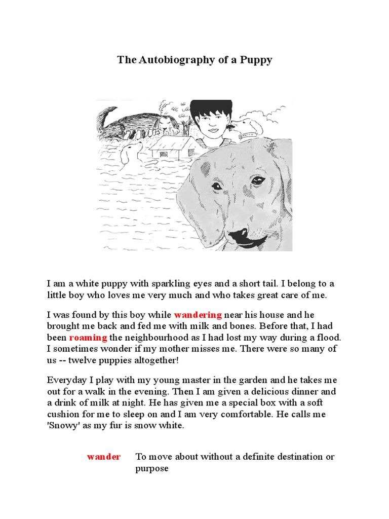 An Autobiography of A Dog | PDF