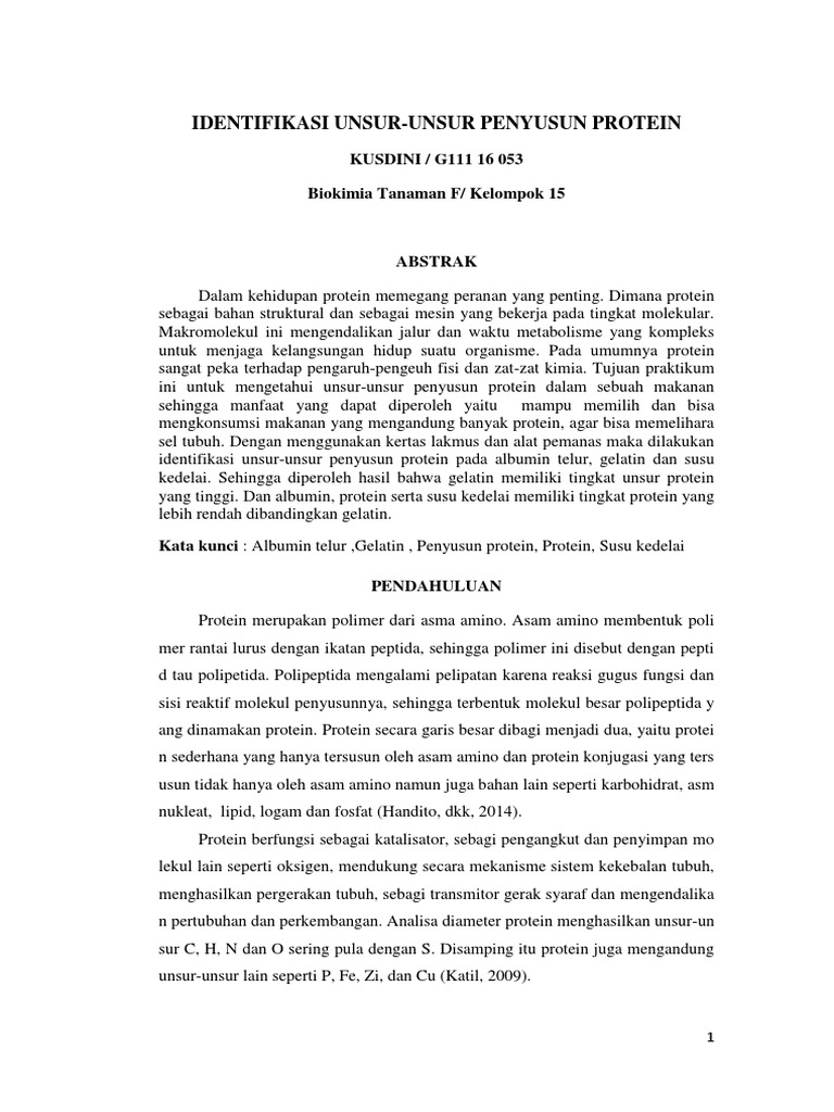 Kusdin G11116053 Laporan Biokimia Unsur Penyusun Protein 1 | PDF