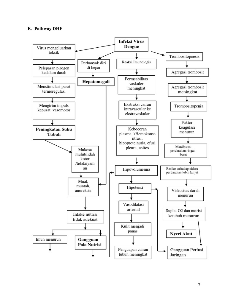 Pathway DHF Terbaru | PDF