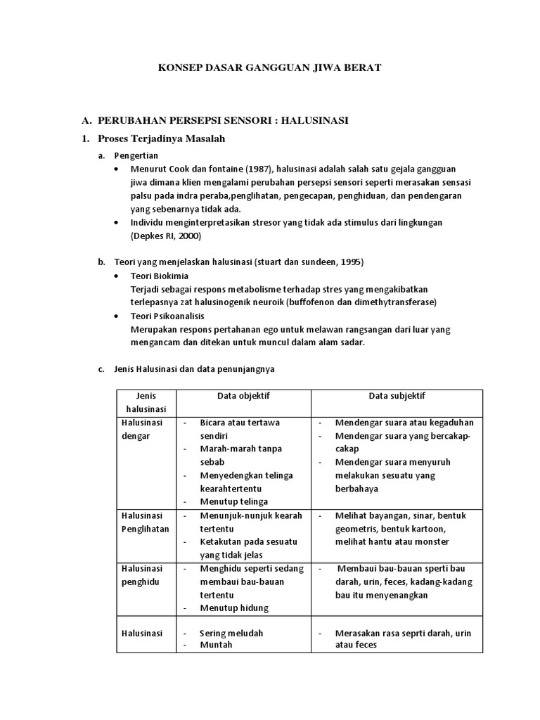 Askep Halusinasi | PDF | Pengembangan Diri