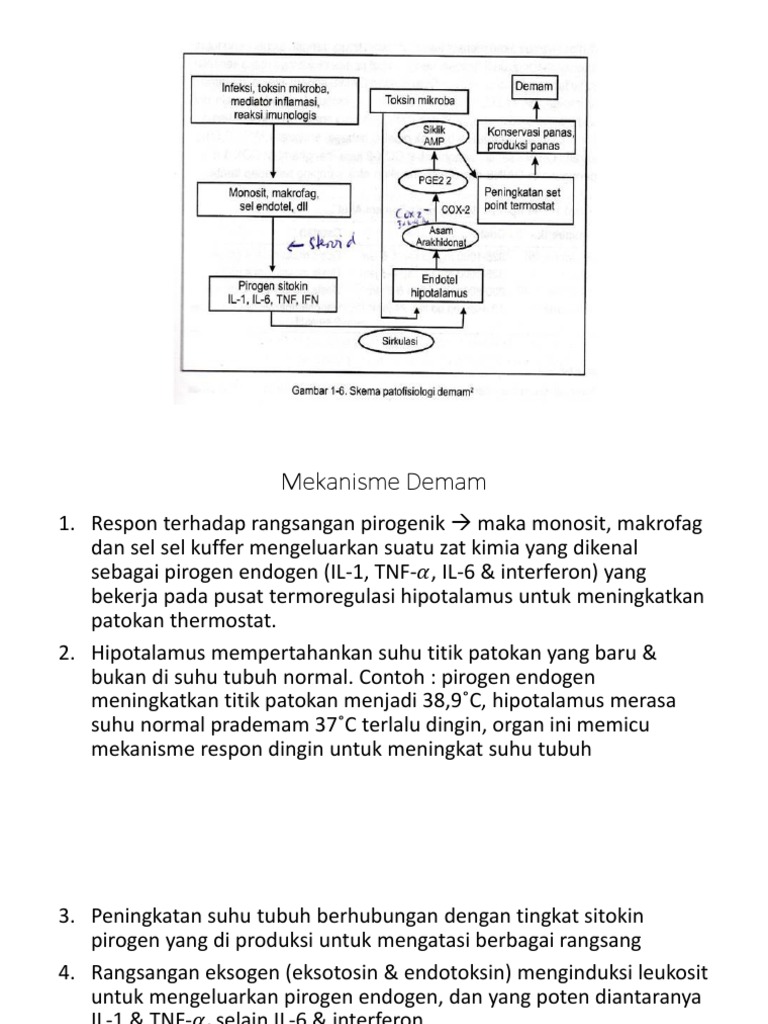 Mekanisme Demam | PDF | Sains & Matematika