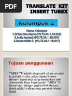 Spo Pemeriksaan Tubex | PDF