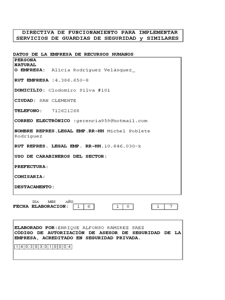 Directiva de Funcionamiento Con Art.-1 | PDF | Business