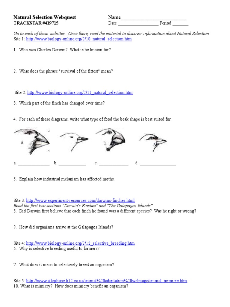 Natural Selection Webquest Guide | PDF | Paleontological Concepts And ...
