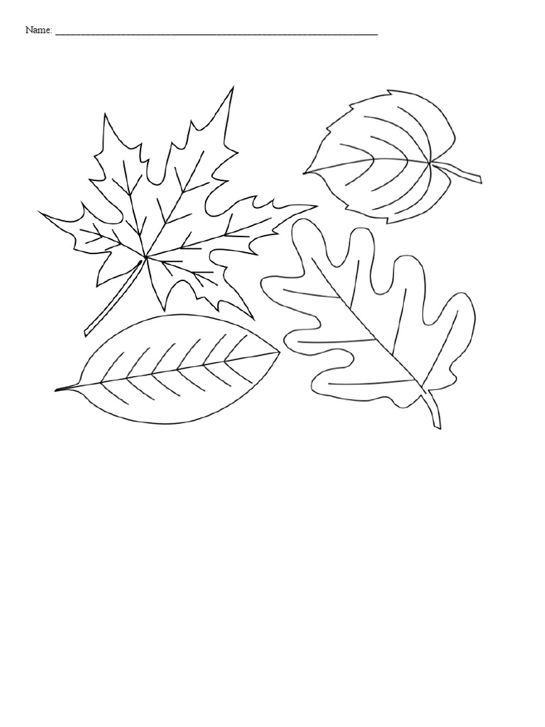 Coloring Pages | PDF | Language Arts & Discipline