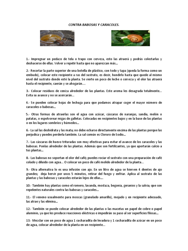 Caseros Contra Babosas y Caracoles | PDF | Cocina, comidas y vino