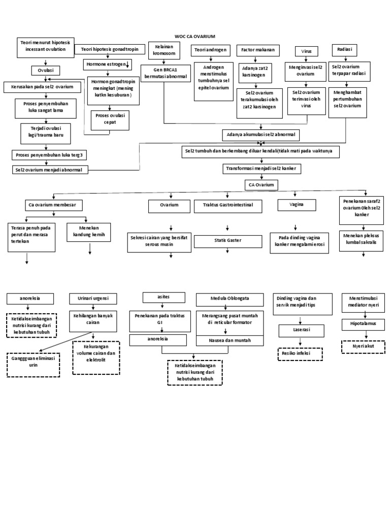 Woc CA Ovarium | PDF