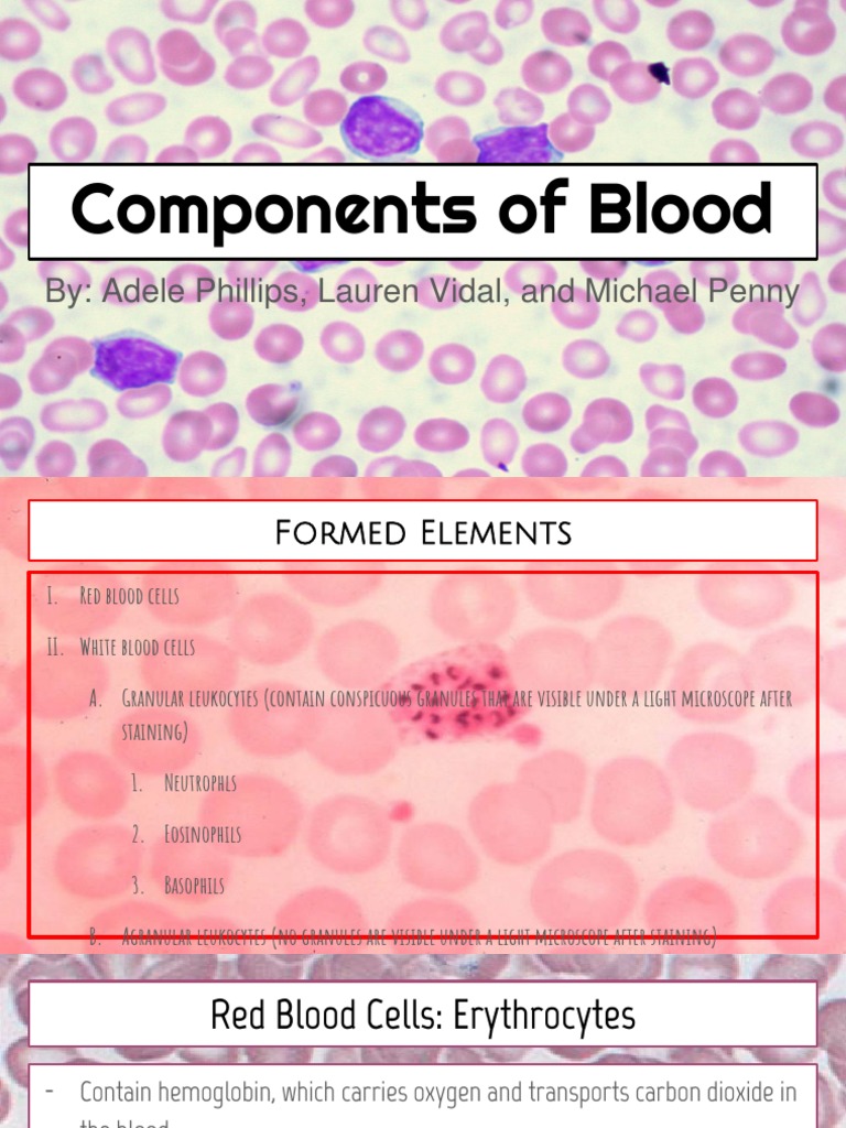components of blood | White Blood Cell | Red Blood Cell