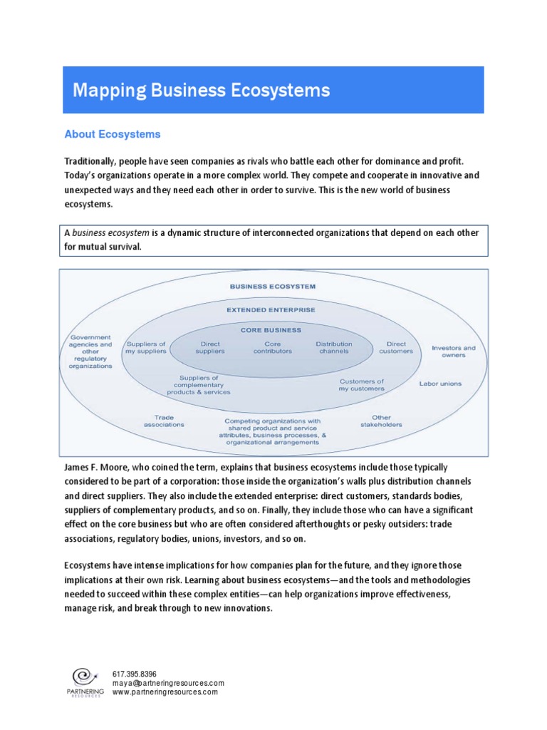 Business Ecosystem Mapping Guide | PDF | Strategic Management | Business