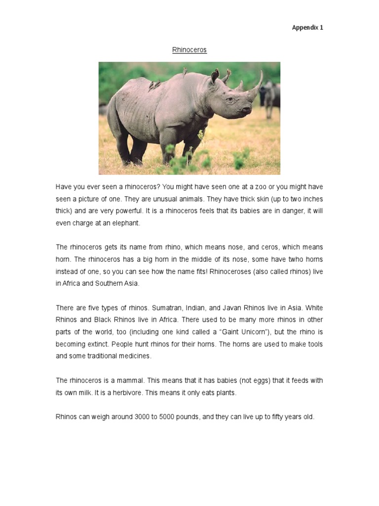 Rhinoceros Short Essay | PDF | Rhinoceros | Odd Toed Ungulates