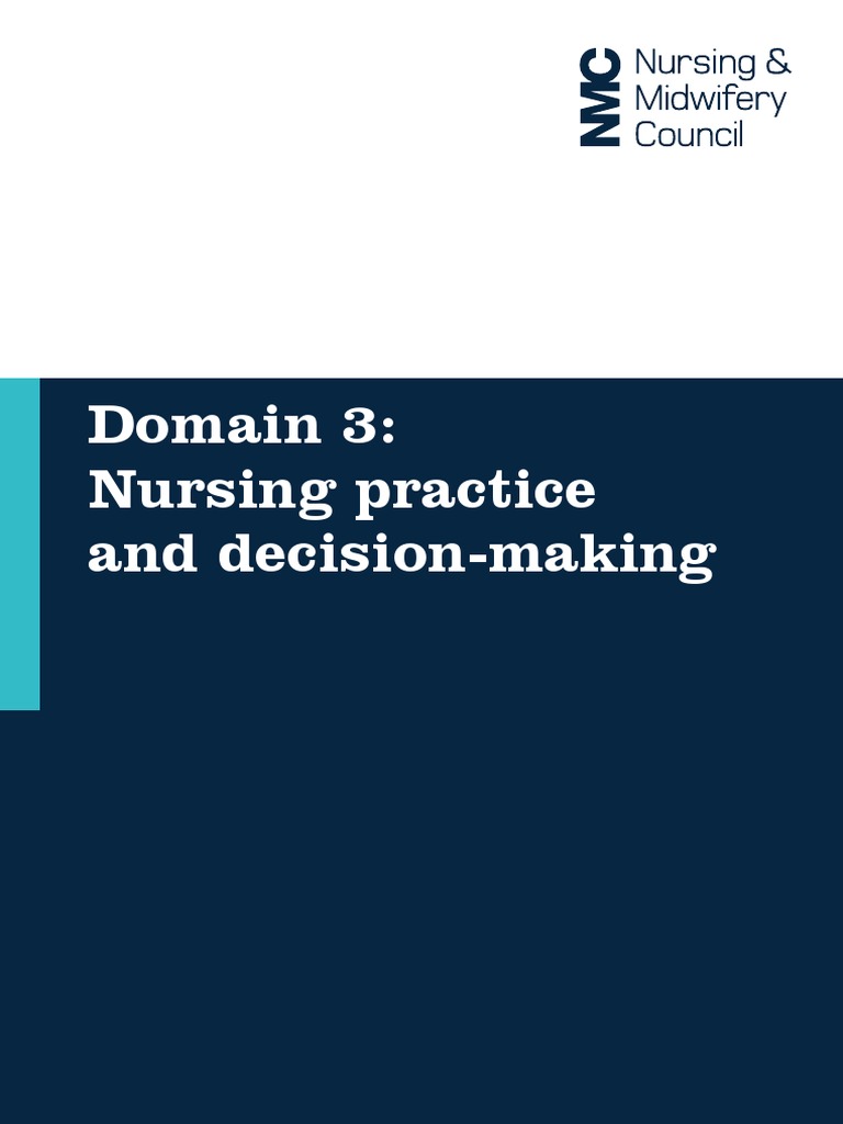 domain-3---nursing-practice-and-decision-making.pdf | Nursing ...