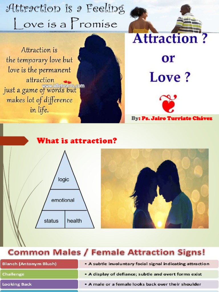 Love or Attraction - English Presentation | PDF