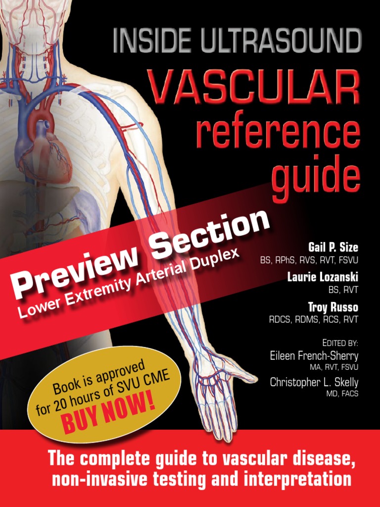 IU Vascular Sample Sept | PDF | Vein | Circulatory System