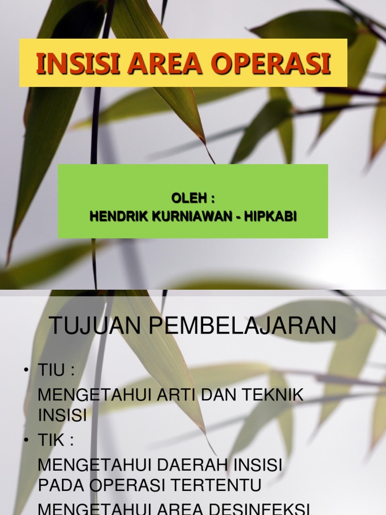 INSISI Area Operasi | PDF