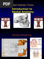 Freeway Space | Dental Anatomy | Dentistry