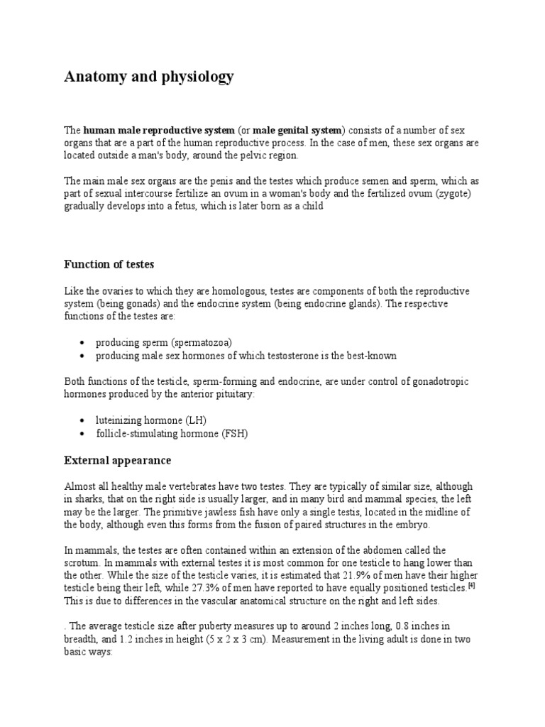 Anatomy and Physiology | PDF | Testicle | Reproductive System